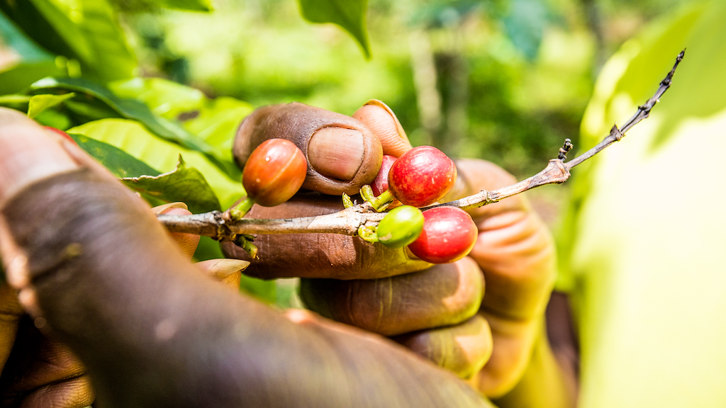 FMO | BUILDING PROSPECTS FUND